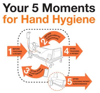 IMPROVING HAND HYGIENE IN CRUISE SHIP: AN... | Open Research Europe