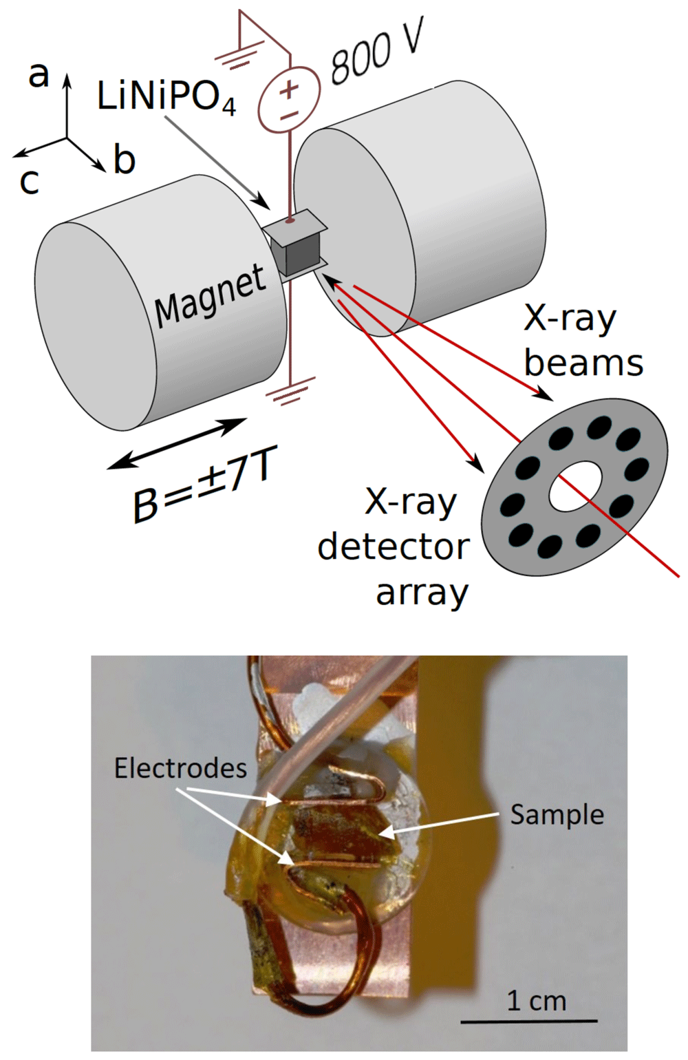 Anti-symmetric Compton scattering in... | Open Research Europe