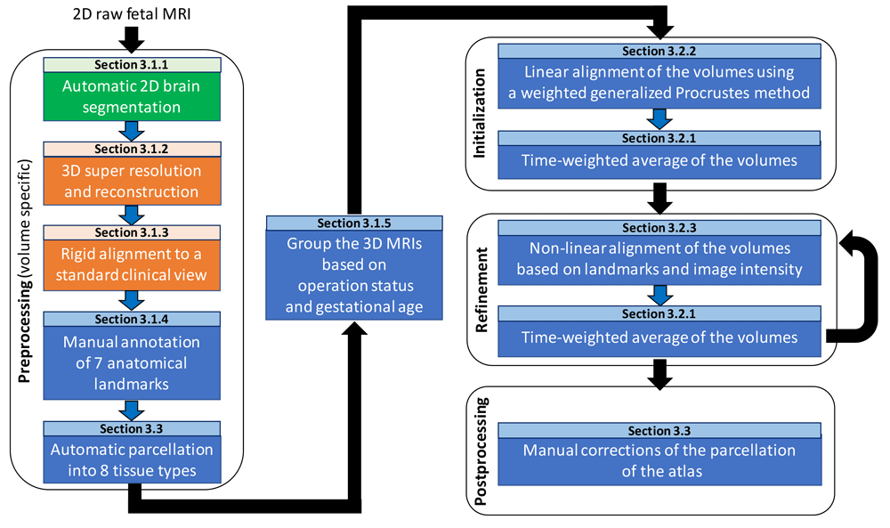 A spatio-temporal atlas of the developing... | Open Research Europe