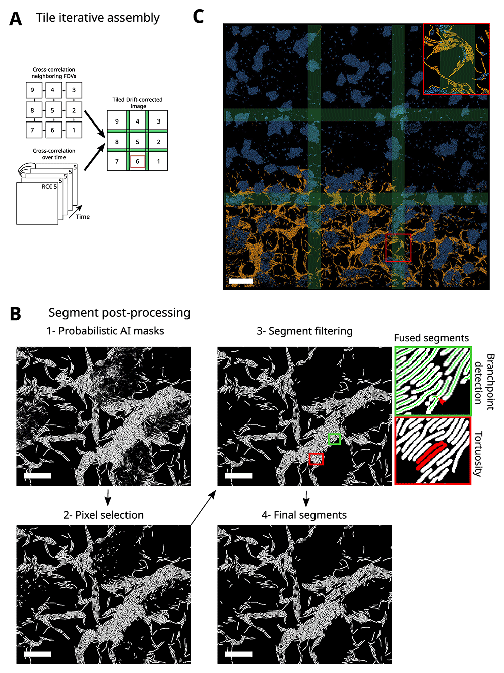 bacto_tracker: a method for single-cell... | Open Research Europe