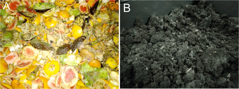 Bio-oil production from biogenic wastes, the... | Open Research Europe