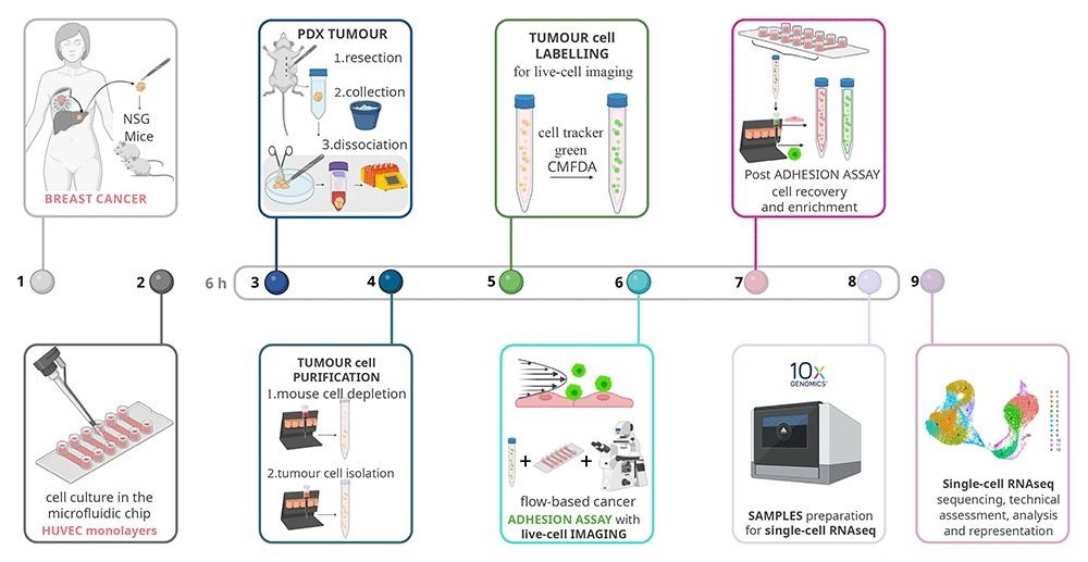 Single-cell imaging and transcriptomic... | Open Research Europe