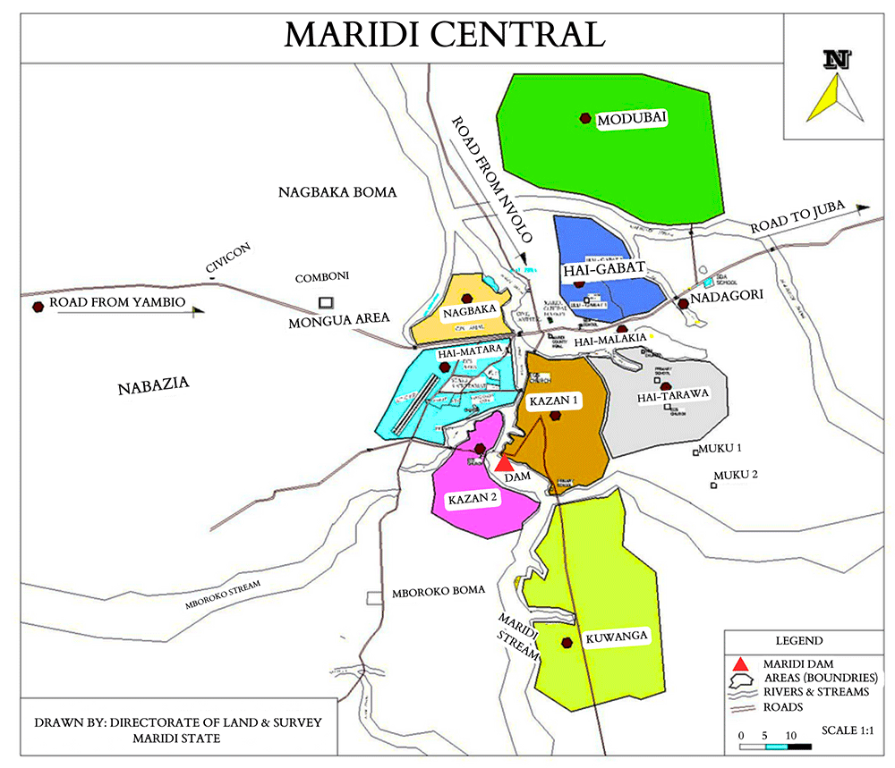 Rapid diagnostic testing for... | Open Research Europe