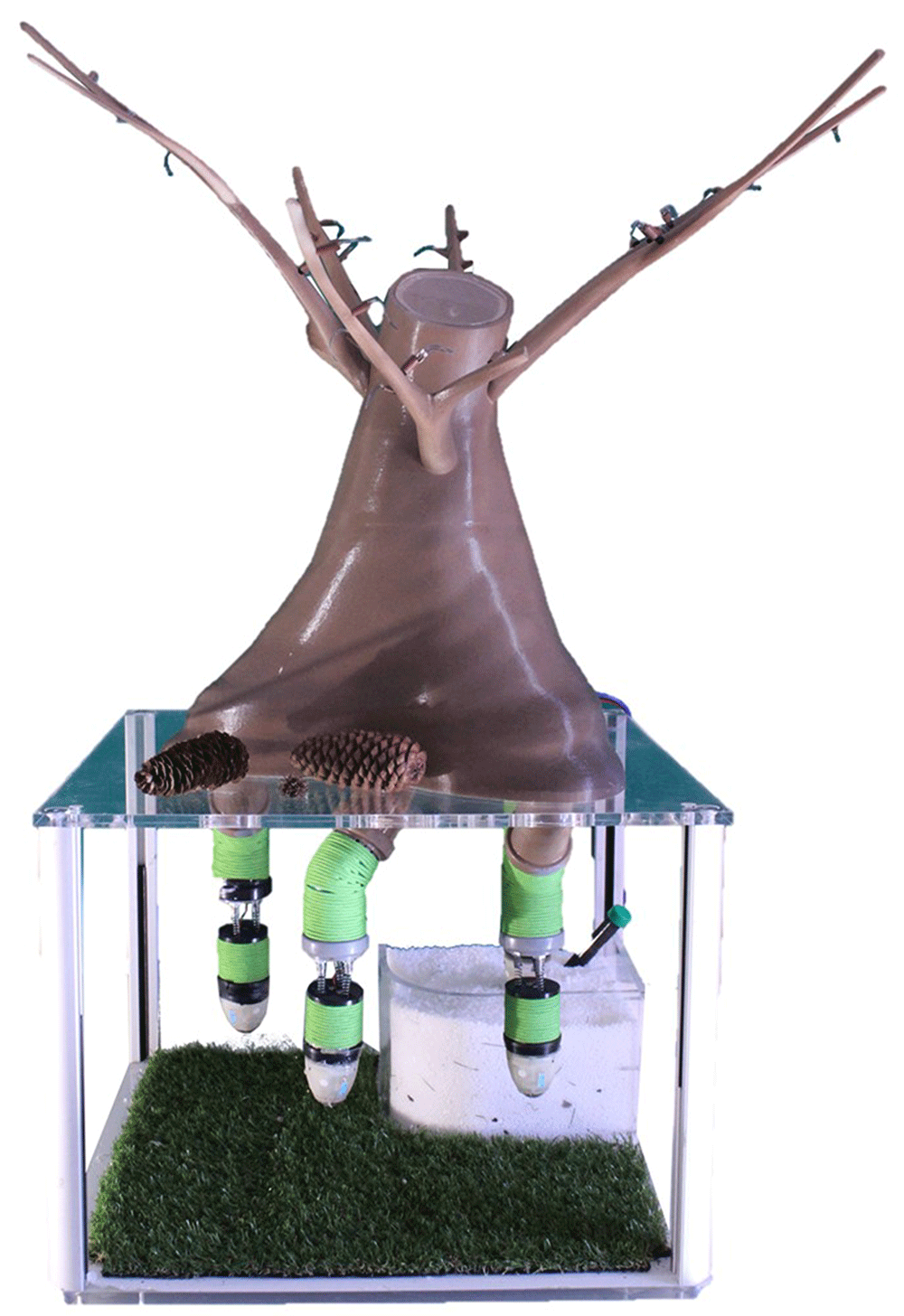 Designing speculative nonhuman-robot... | Open Research Europe