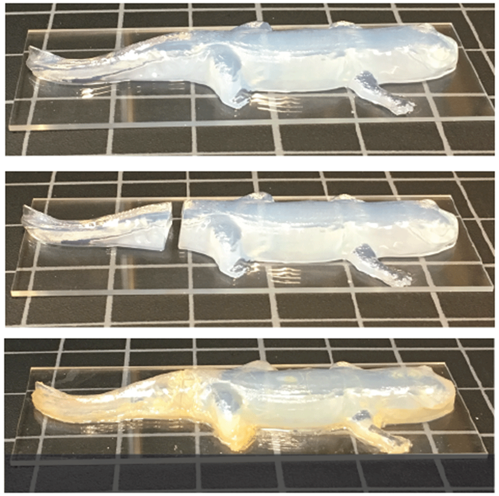 Designing speculative nonhuman-robot... | Open Research Europe