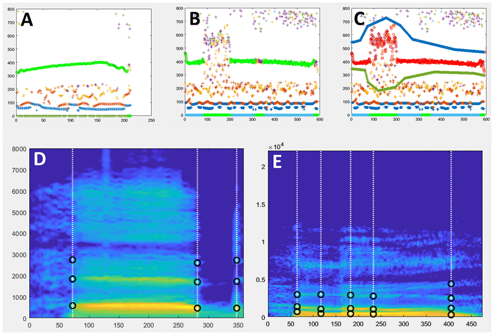 STRAIGHTMORPH: A Voice Morphing Tool for... | Open Research Europe