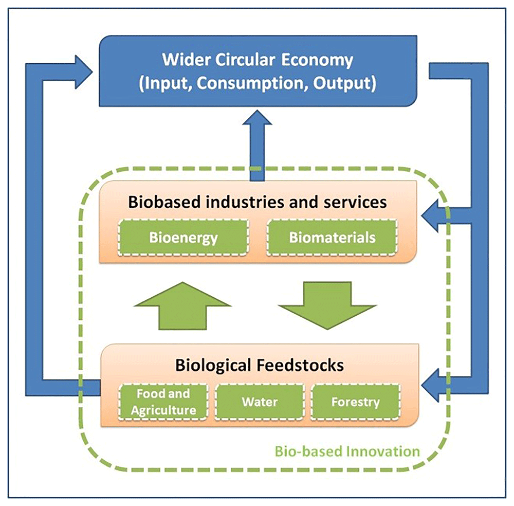 A review of the EU bioeconomy: concepts,... | Open Research Europe