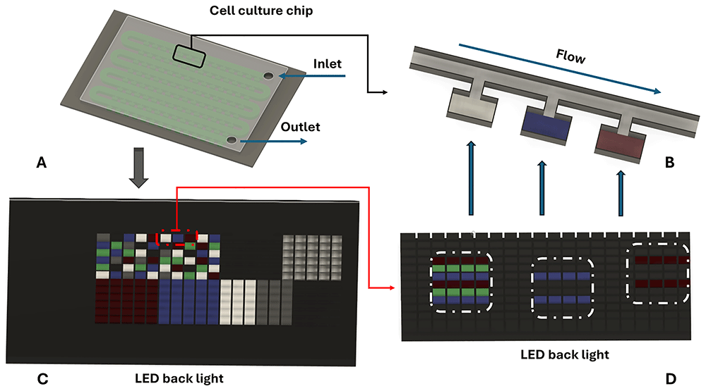 Label-free processing of microalgal... | Open Research Europe