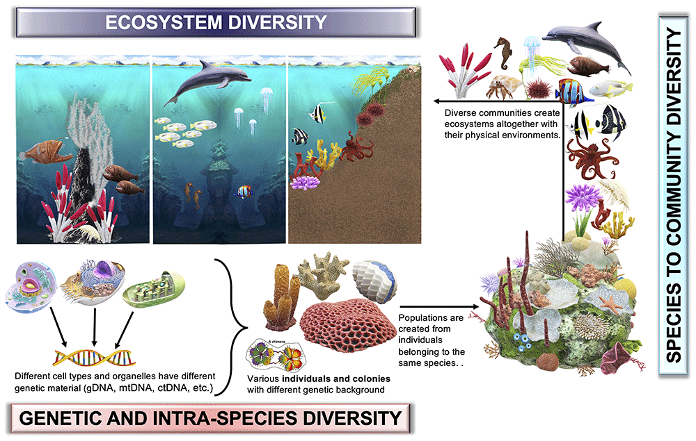 MAF biodiversity measurements: Species,... | Open Research Europe