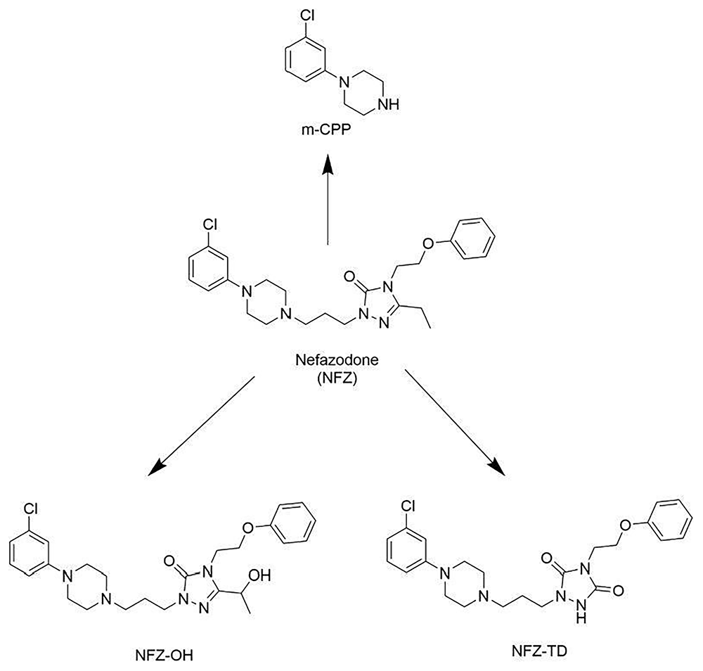 Early prediction of potential hepatotoxic... | Open Research Europe