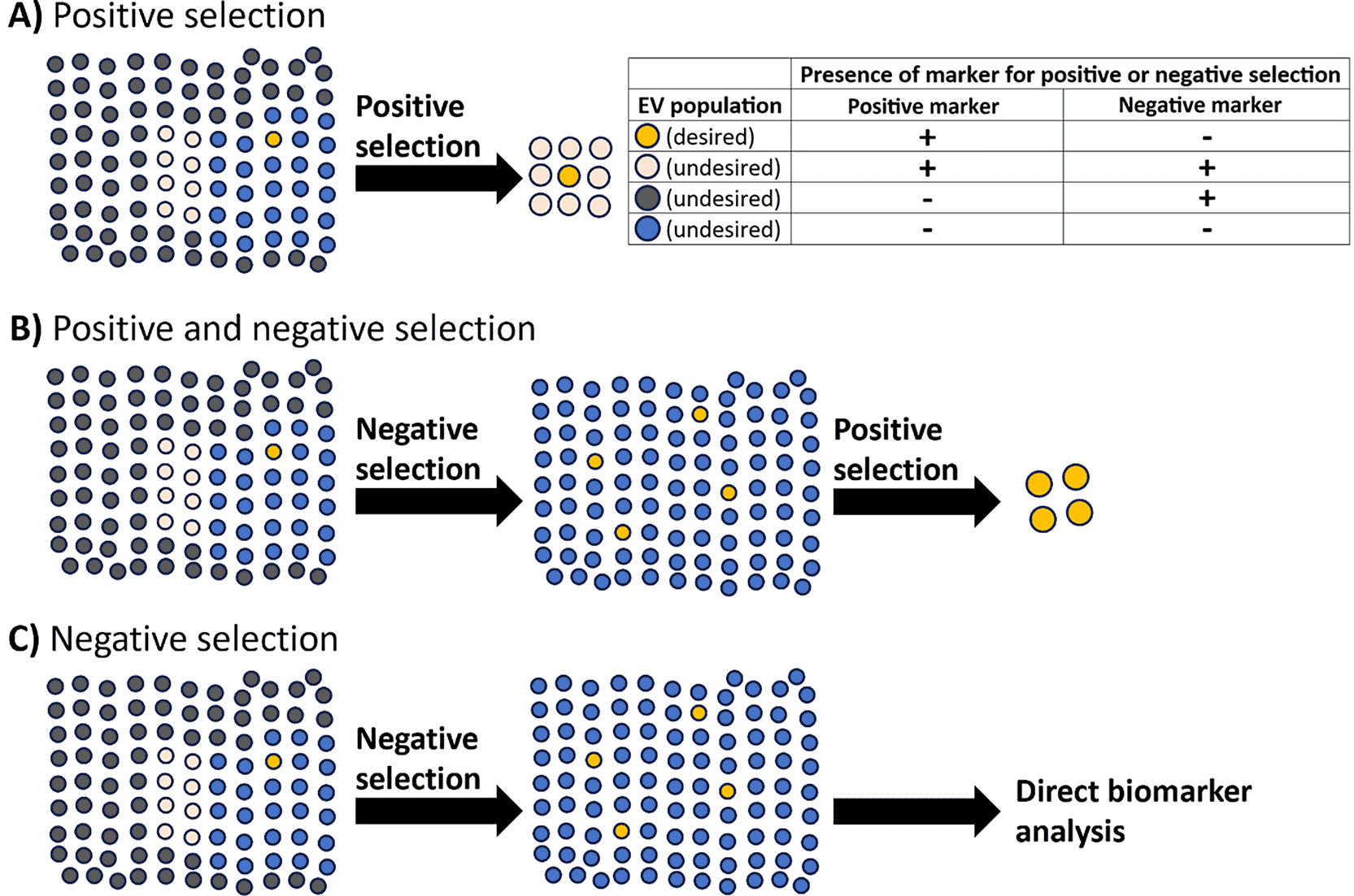 Positive and negative selection of... | Open Research Europe